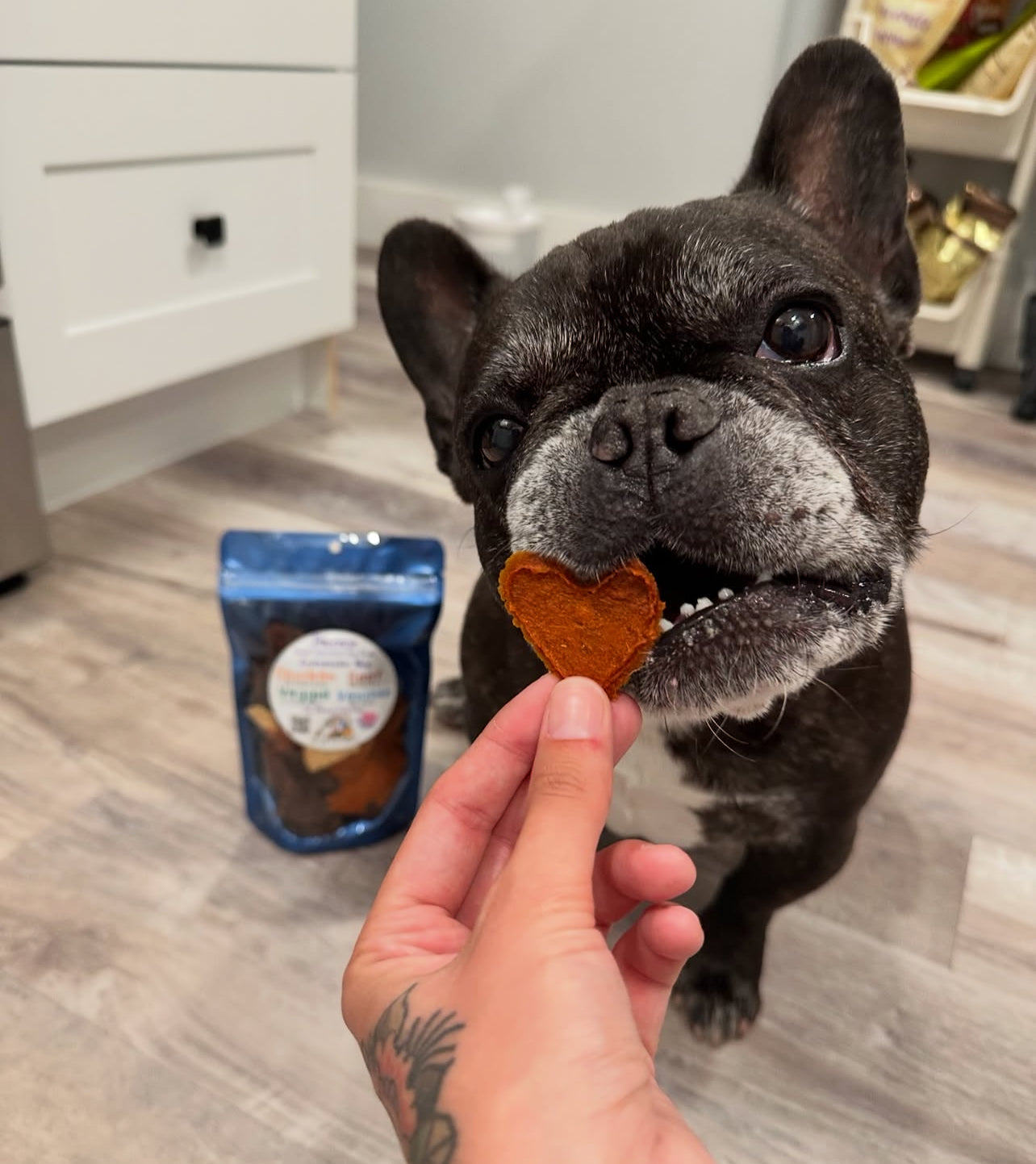 Pawcasso Treats