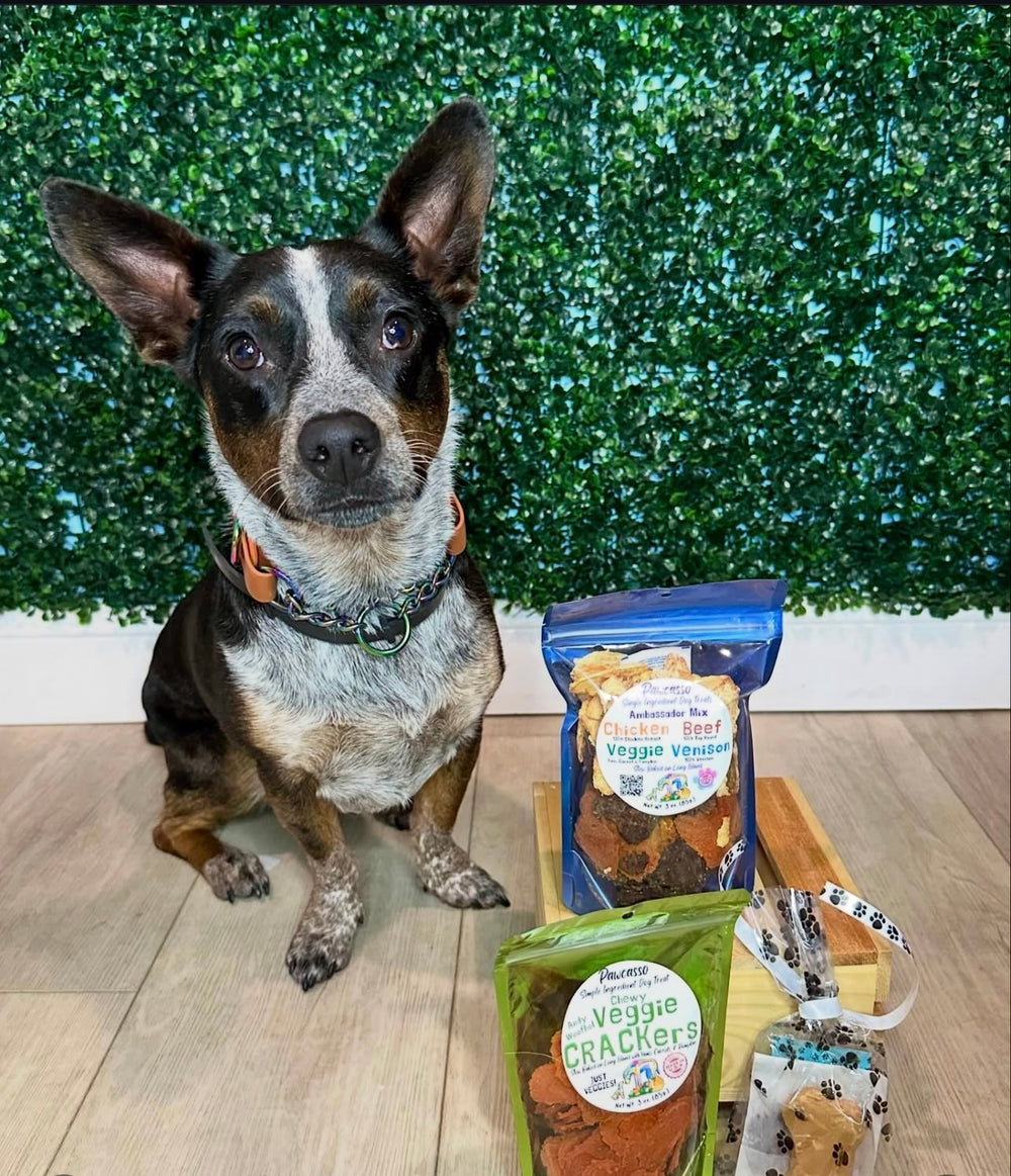 Pawcasso Treats